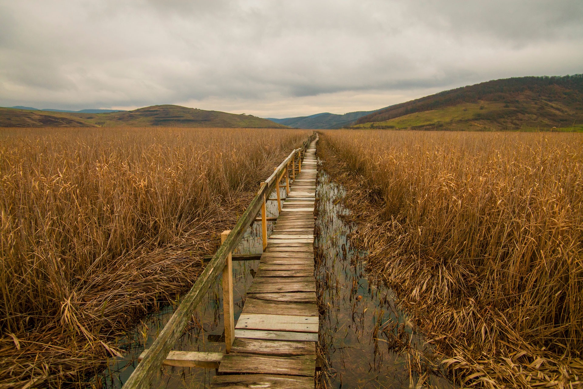 Why the Way Matters More Than the What (3 Examples)